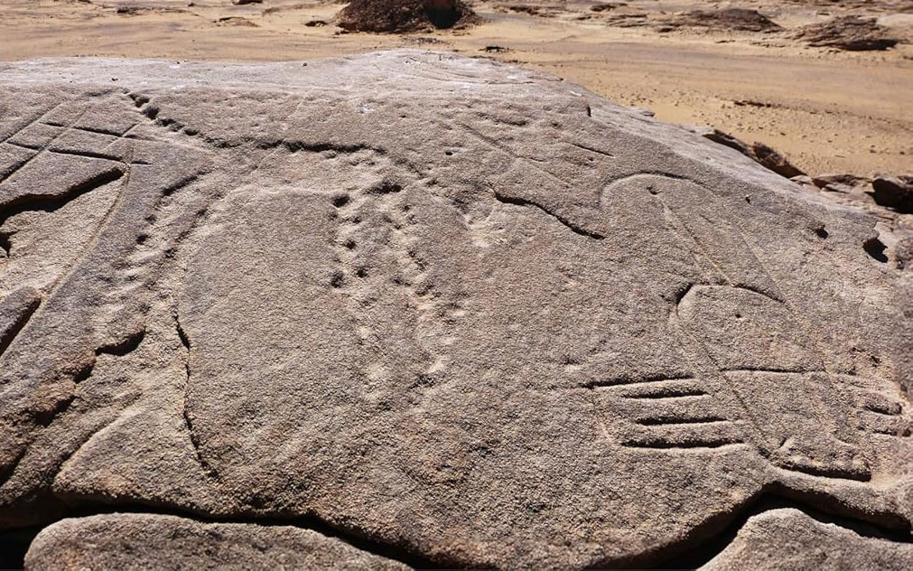 Home - Archaeology Wiki